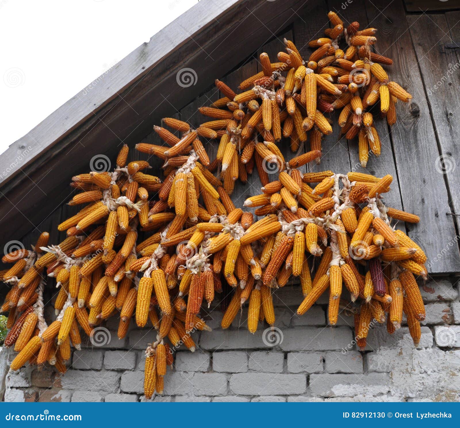 Coupling with Corn on the Wall Stock Photo - Image of coupling, bread ...