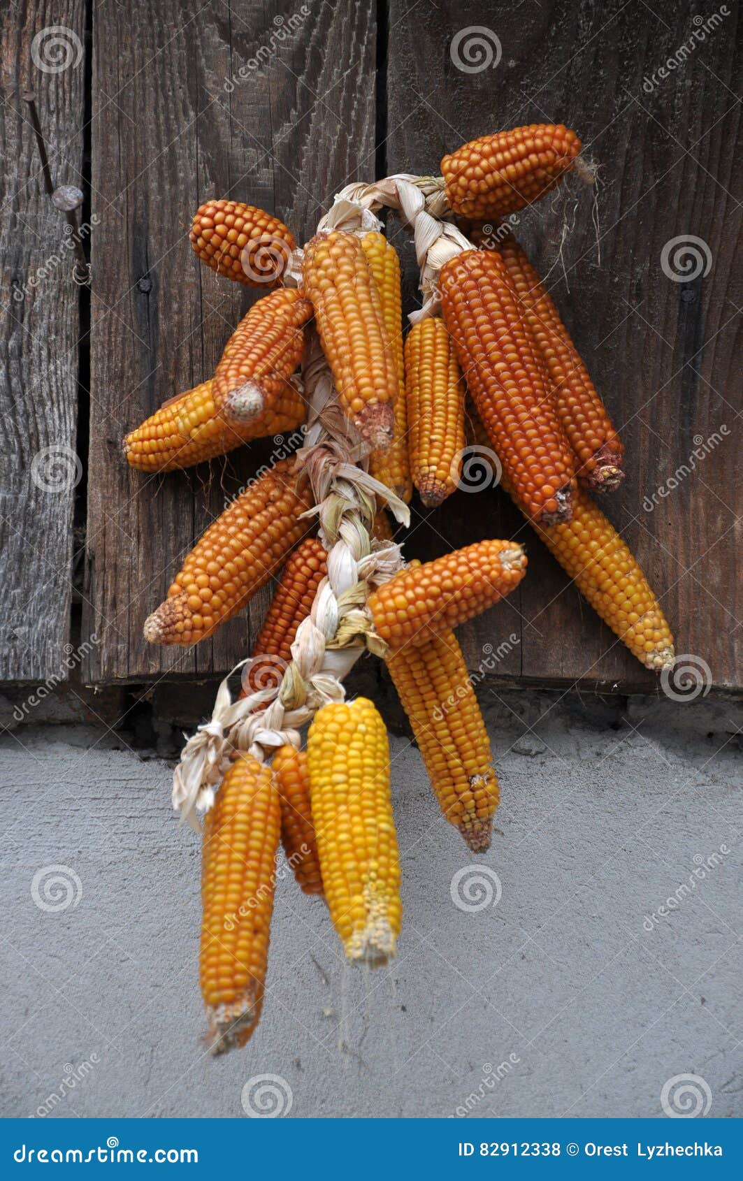 Coupling with Corn on the Wall_2 Stock Photo - Image of cereals, grain ...