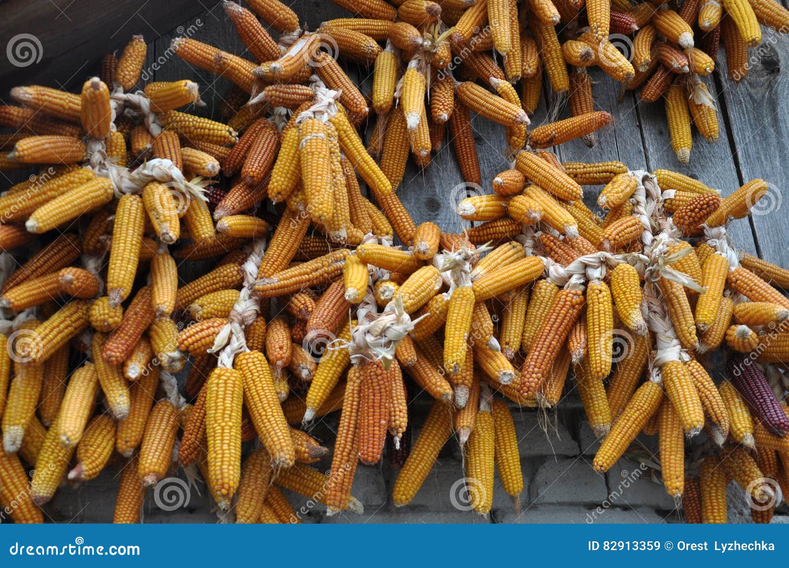 Coupling with Corn on the Wall_7 Stock Image - Image of agribusiness ...