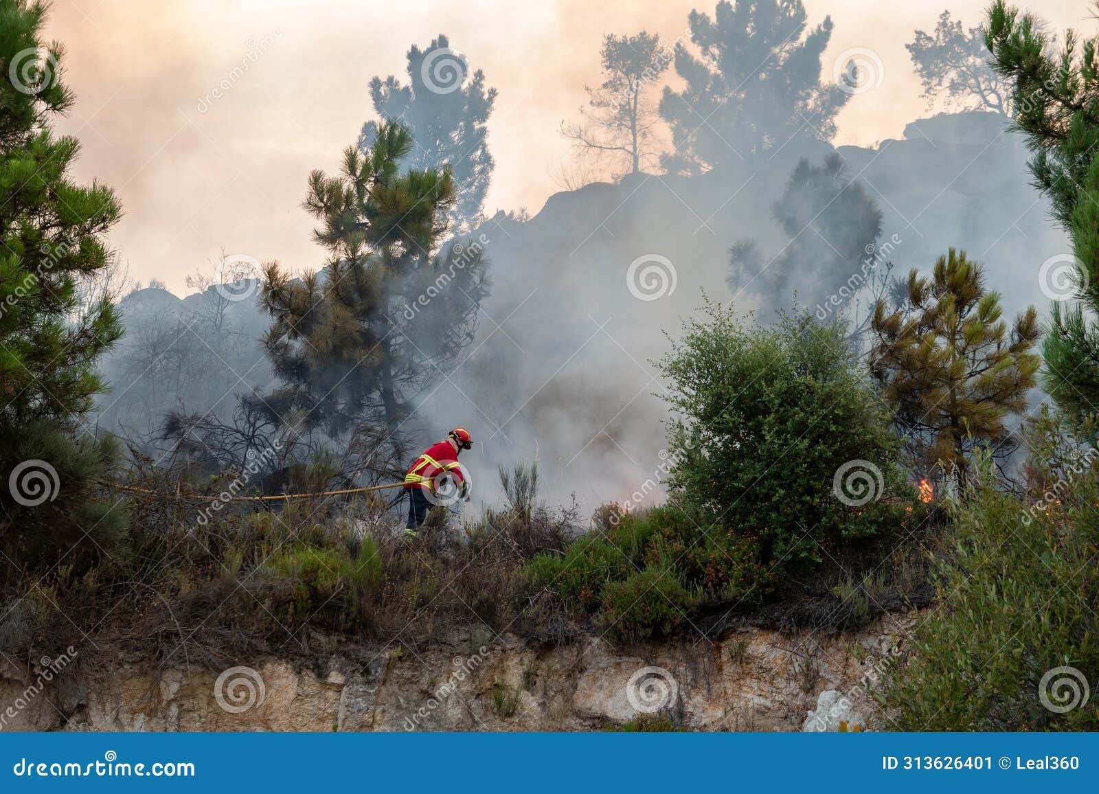 Courage in the Flames: Firefighter Faces Fire in Monte Editorial Photo ...