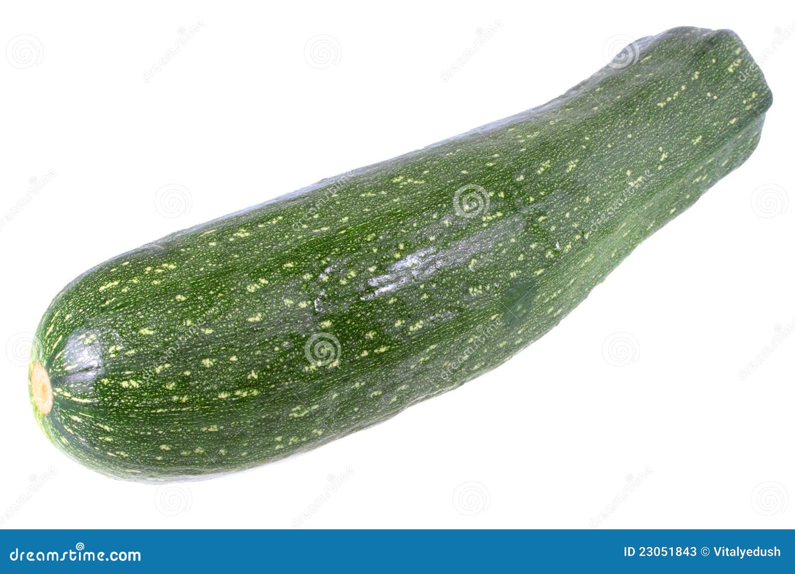 Courge à la moelle noire image stock. Image du vert, lame - 23051843