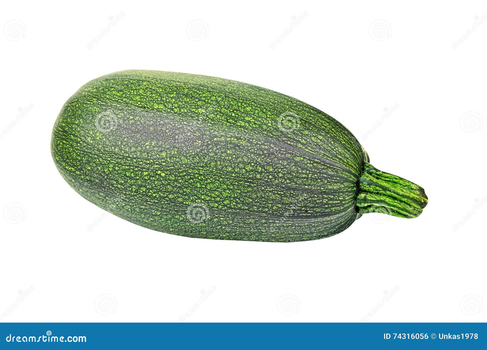 Courge à La Moelle Verte (courgette) Photo stock - Image du ...