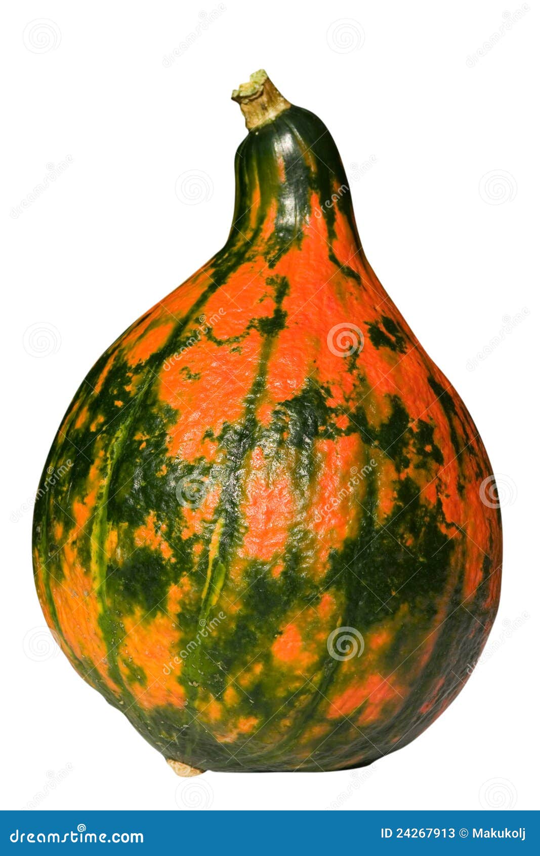 Courge Comestible Organique Image stock - Image du agriculture, vert ...