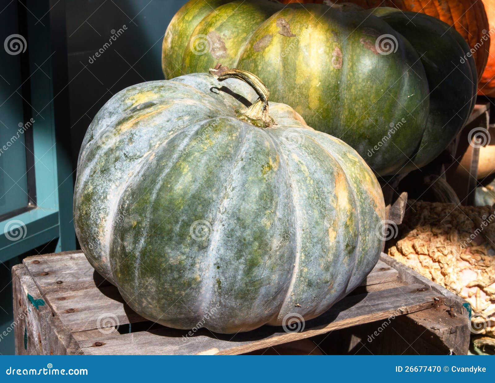 Courge Japonaise De Potiron De Kabocha Photo stock - Image du produit ...