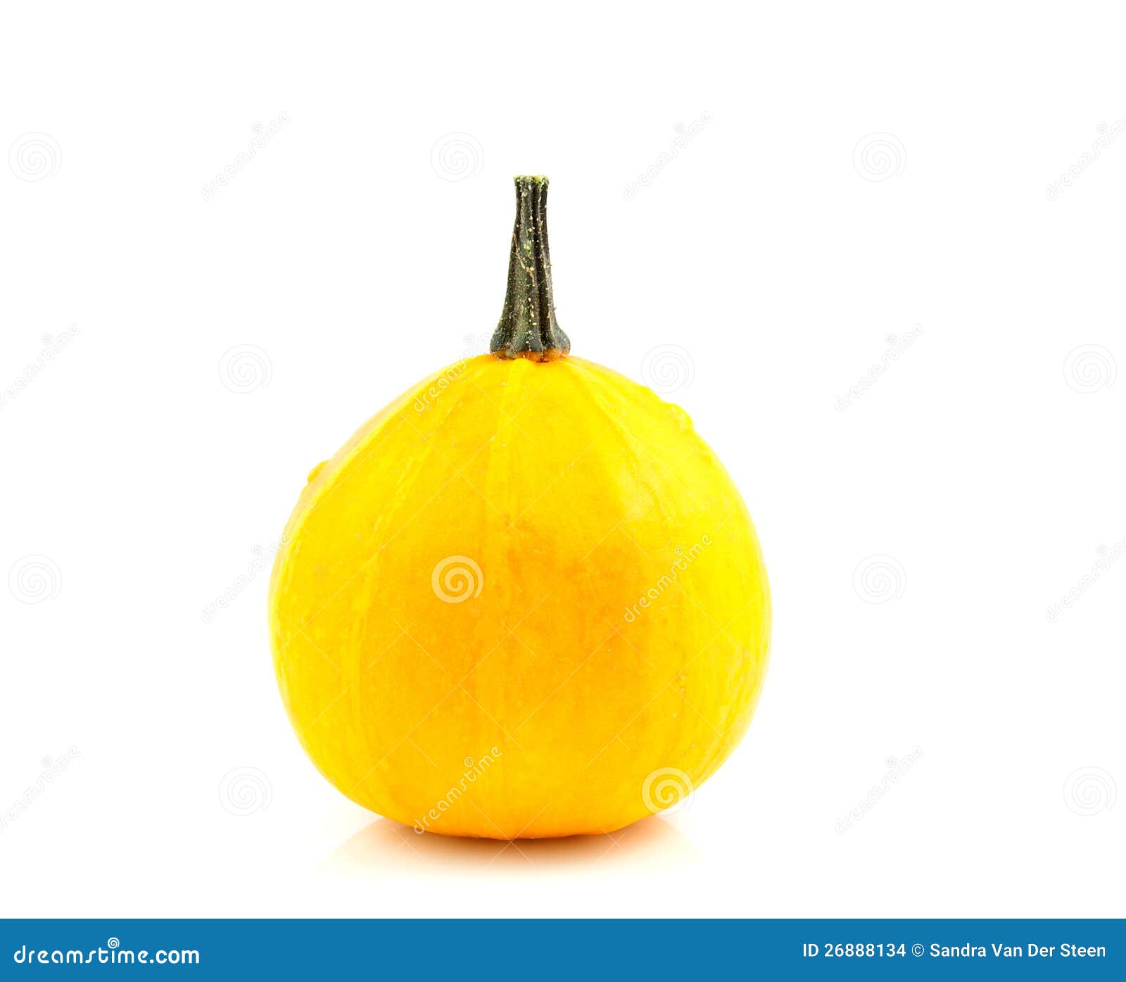 Courge jaune photo stock. Image du saisonnier, octobre - 26888134