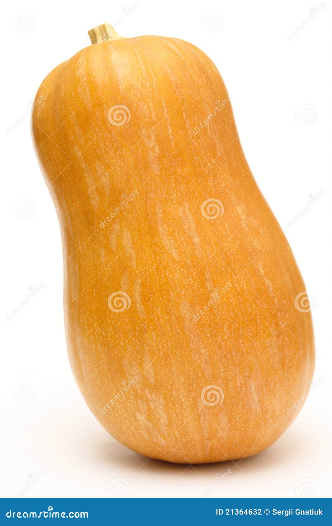 Courge jaune brute photo stock. Image du nature, mangez - 21364632