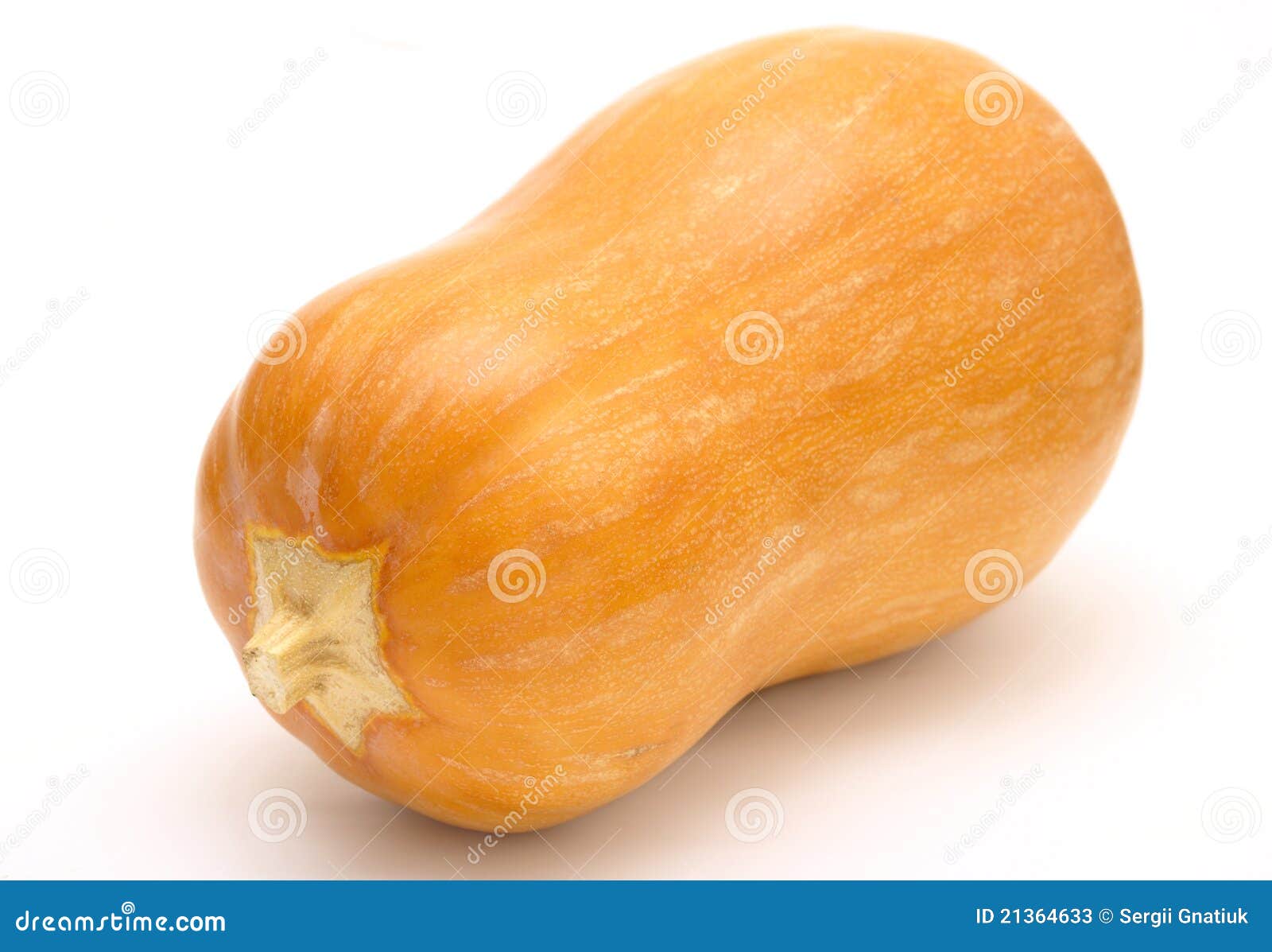 Courge jaune brute image stock. Image du décoration, jaune - 21364633