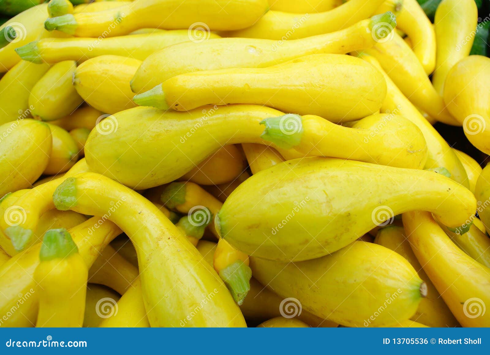 Courge jaune organique photo stock. Image du vivacité - 13705536
