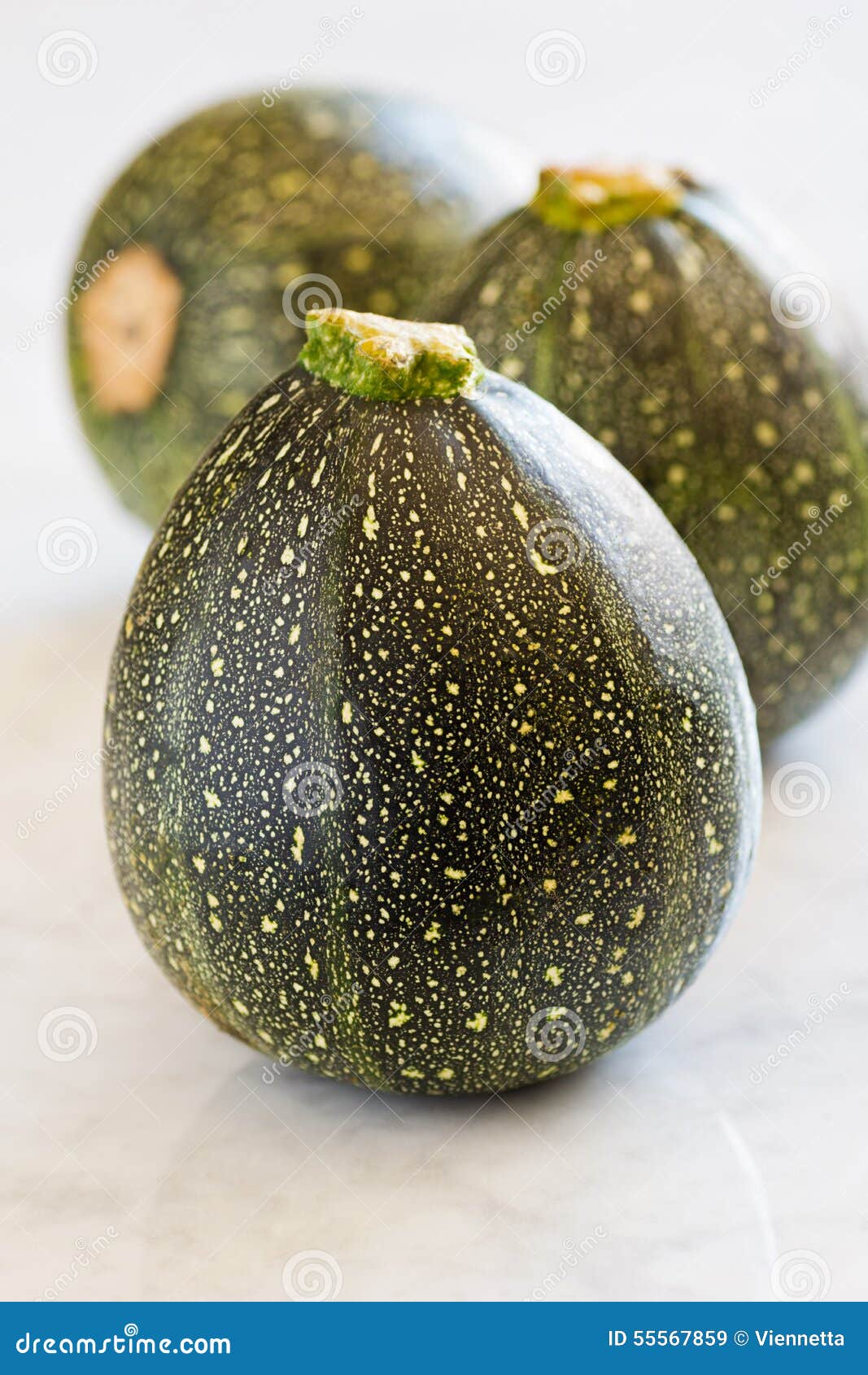 Courge Ronde De Courgette Ou De Courgette Image stock - Image du forme ...