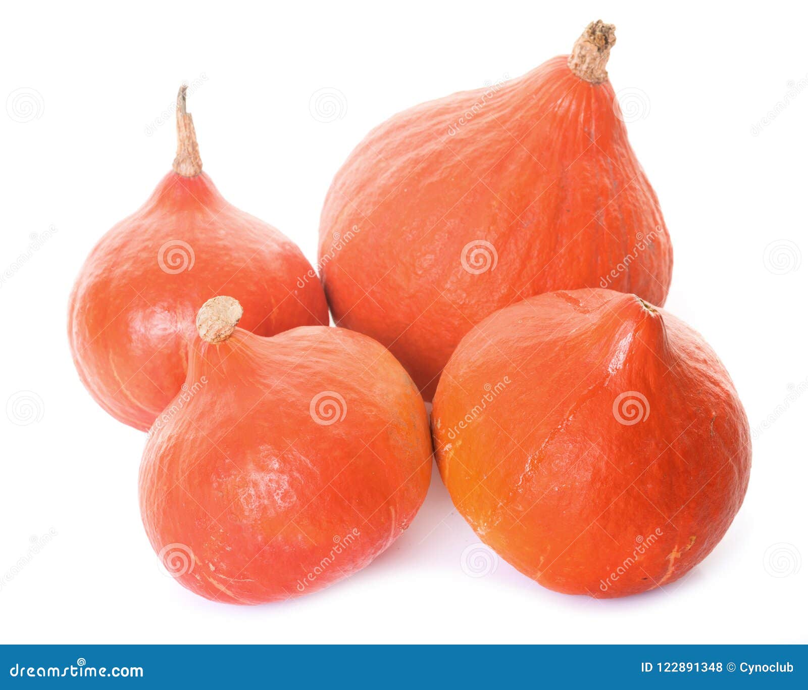 Courge rouge de kuri photo stock. Image du groupe, rouge - 122891348