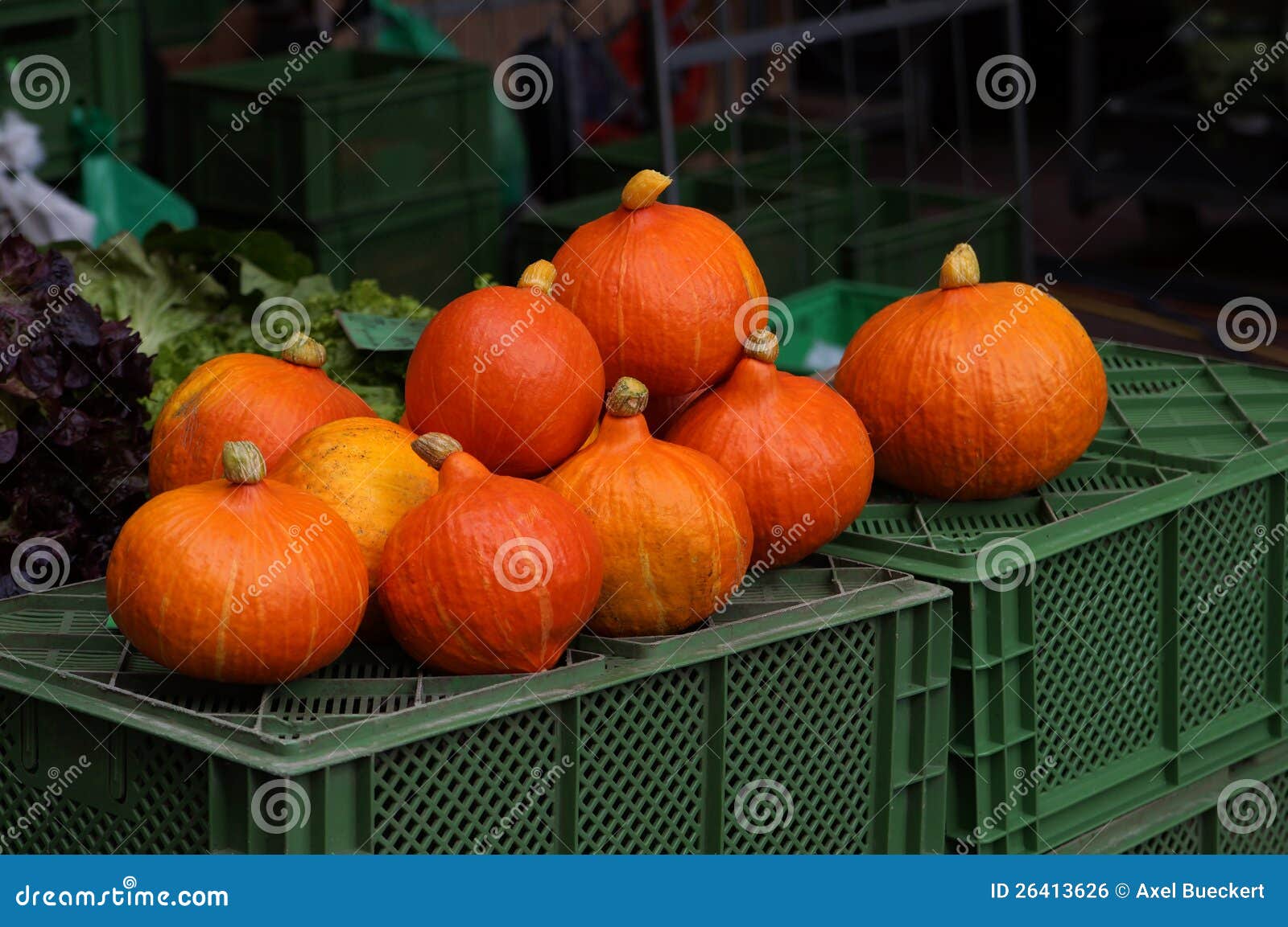 Courge rouge de kuri photo stock. Image du vente, groupe - 26413626
