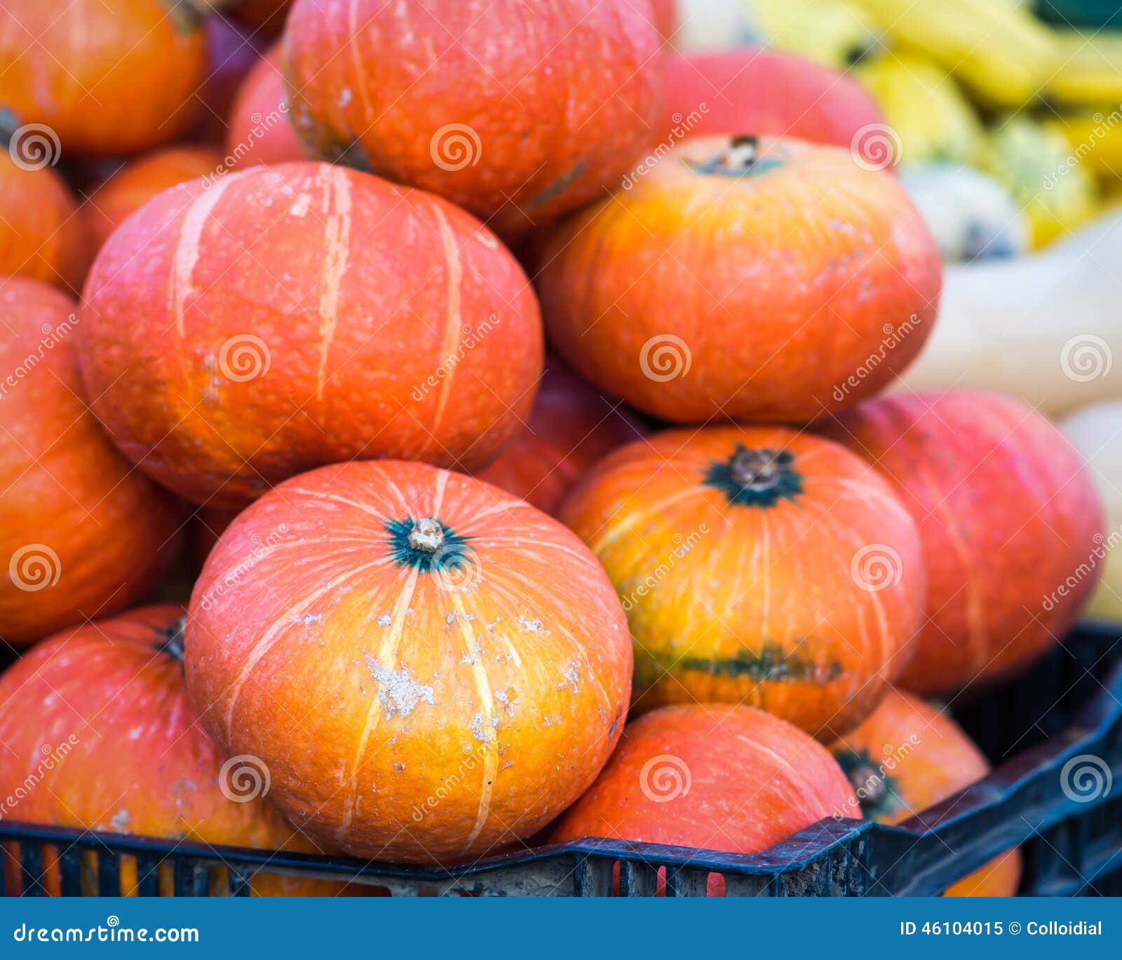 Courge rouge de kuri image stock. Image du fruits, diététique - 46104015