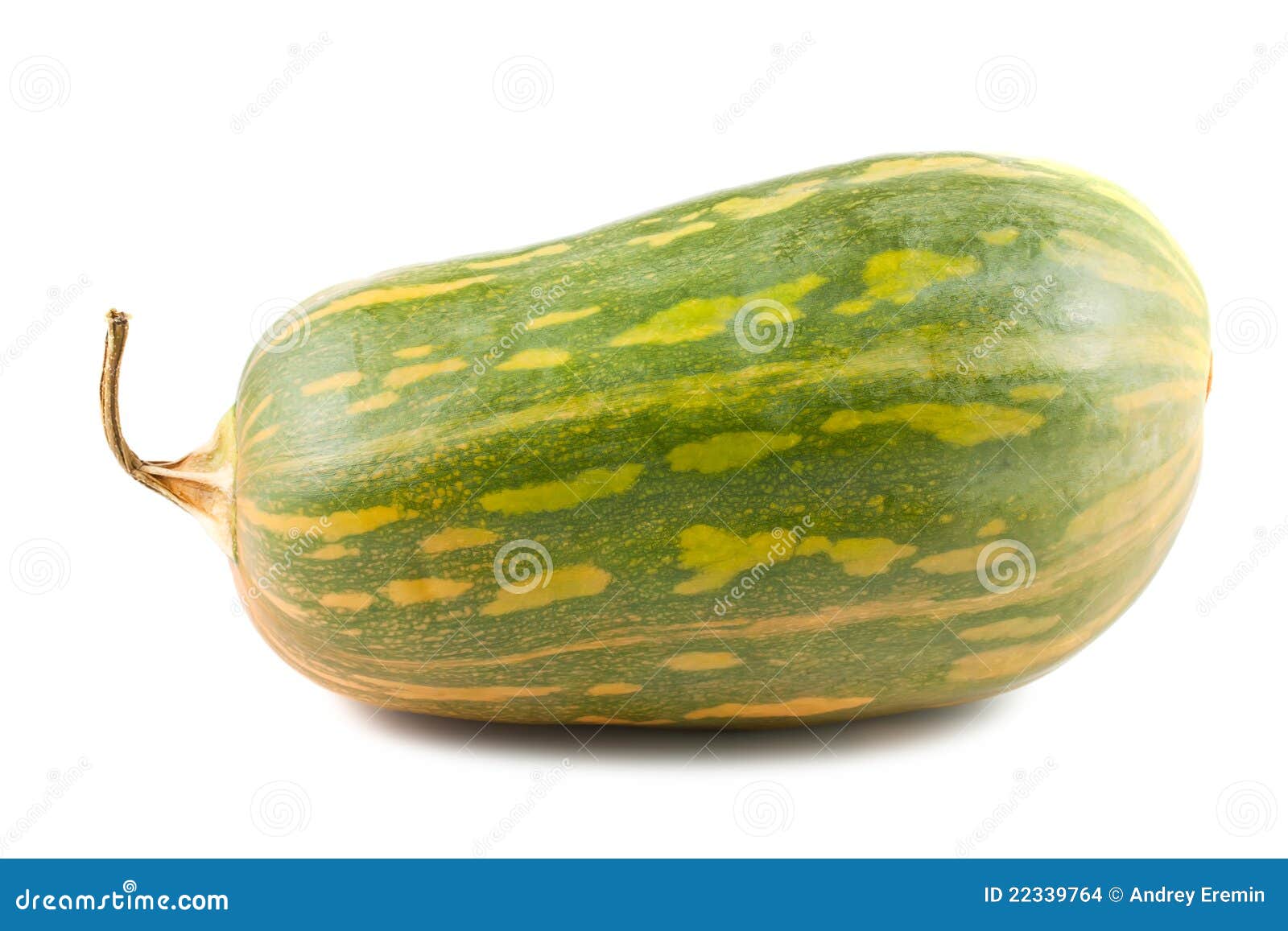 Courge verte photo stock. Image du fond, sain, objet - 22339764