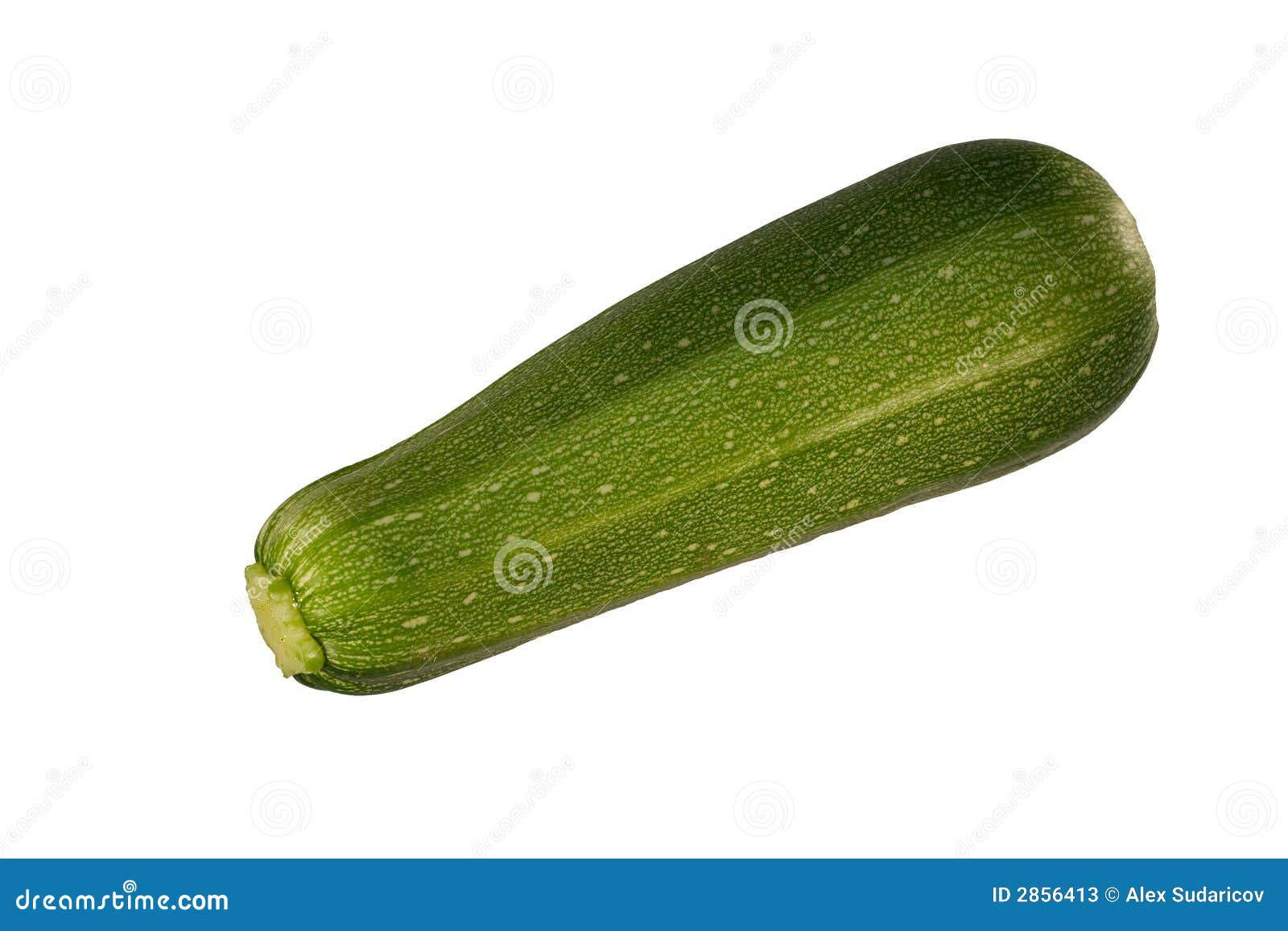 Courge verte image stock. Image du manger, nourriture - 2856413