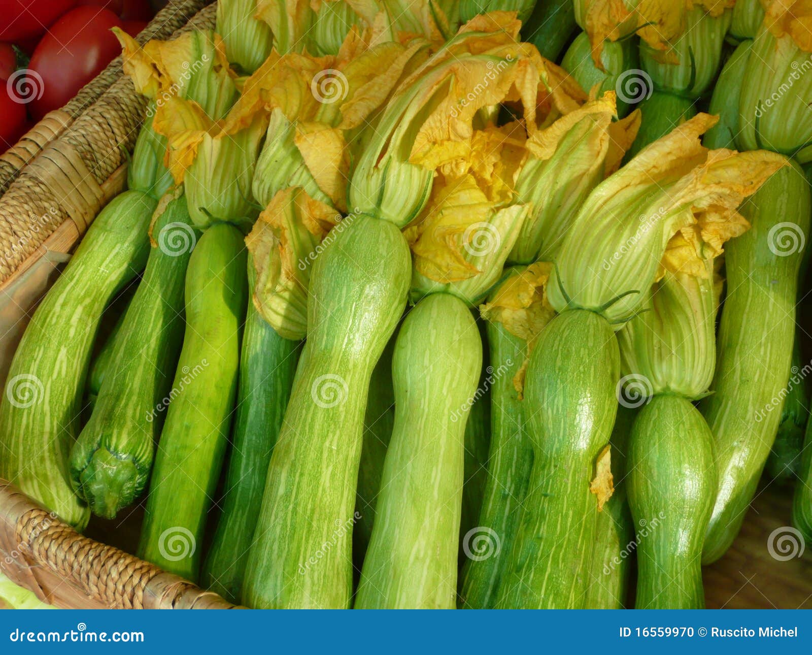 Courgette photo stock. Image du été, plateau, france - 16559970