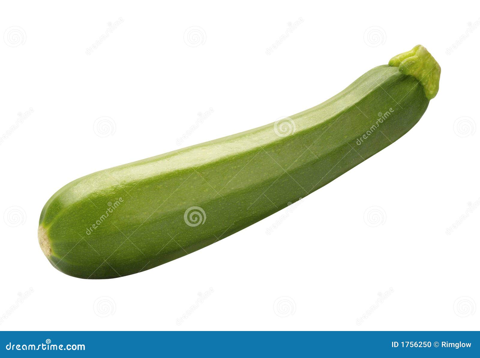Courgette photo stock. Image du organique, tige, essentiel - 1756250