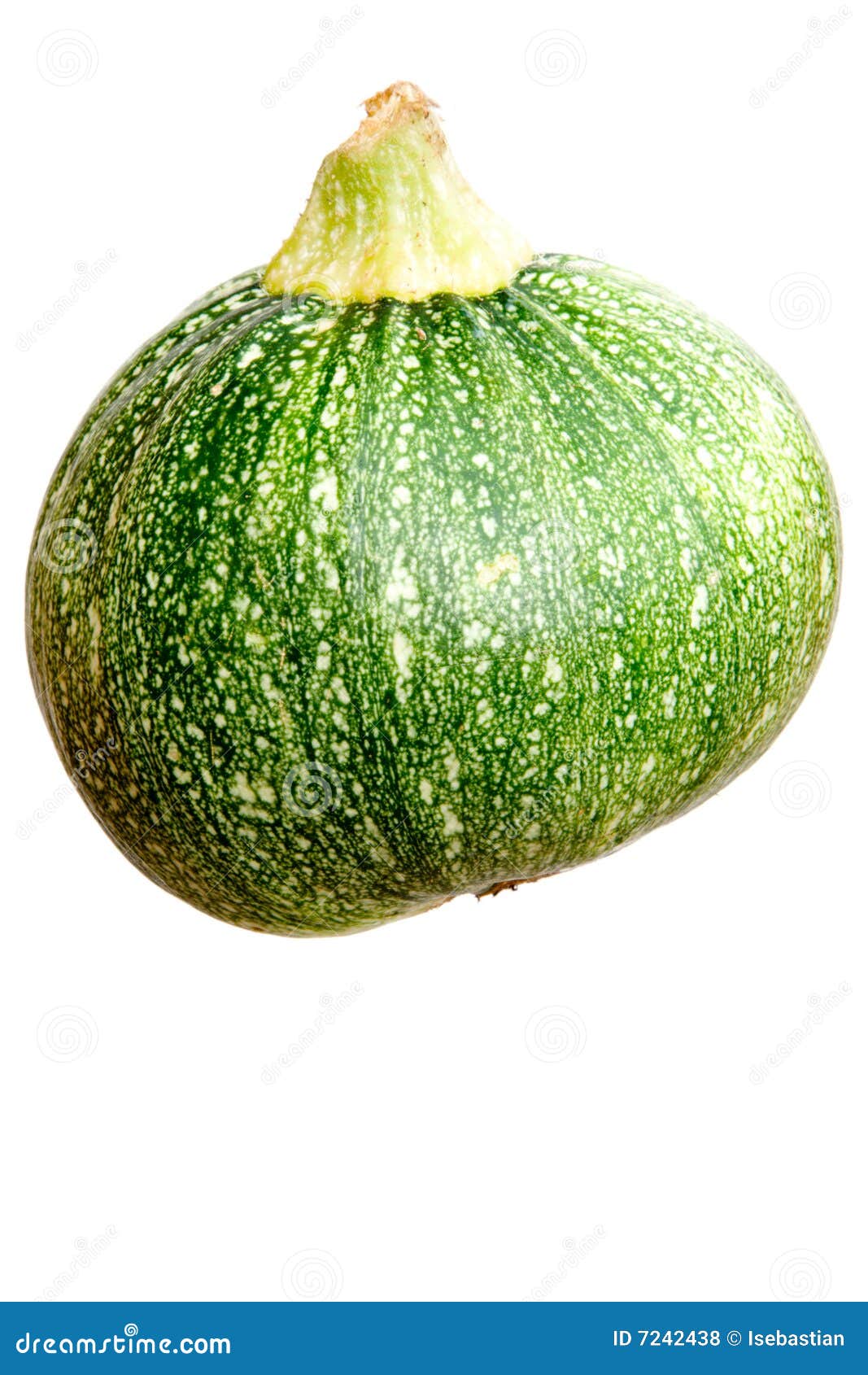 Courgette foto de stock. Imagem de isolado, orgânico, ainda - 7242438