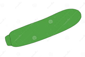 Courgette stock illustration. Illustration of food, cartoon - 91785352
