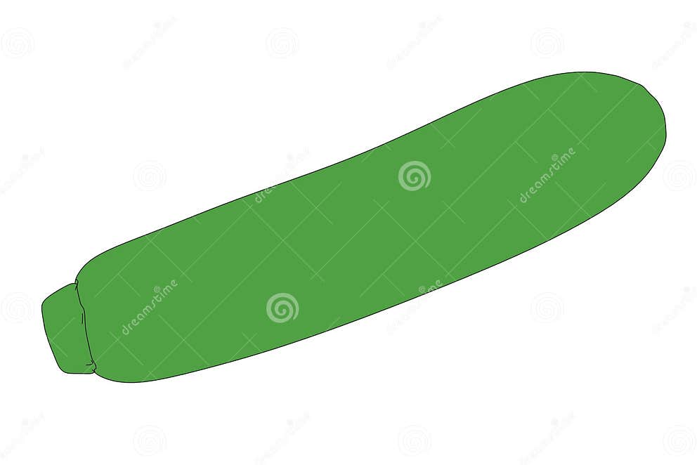 Courgette stock illustration. Illustration of food, cartoon - 91785352