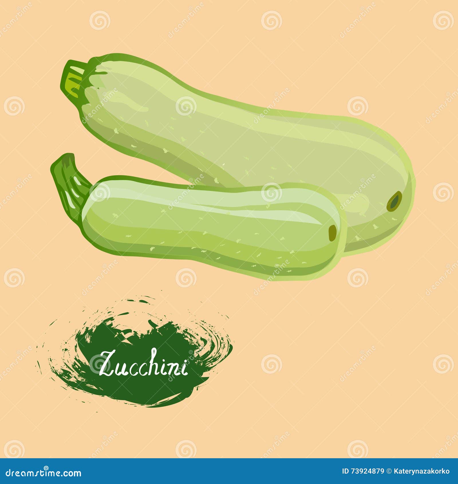 Courgette in de vector vector illustratie. Illustration of illustratie ...