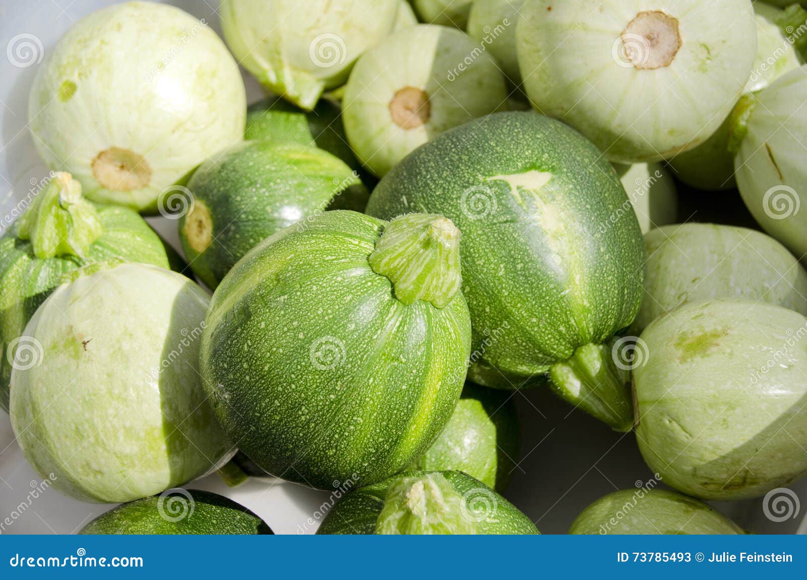 Courgette et courge rondes image stock. Image du rond - 73785493