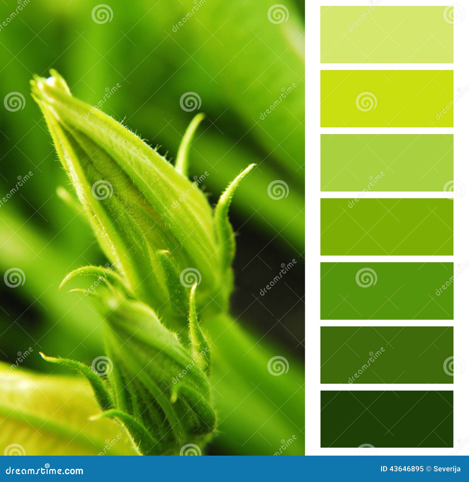 Shades Of Green Chart