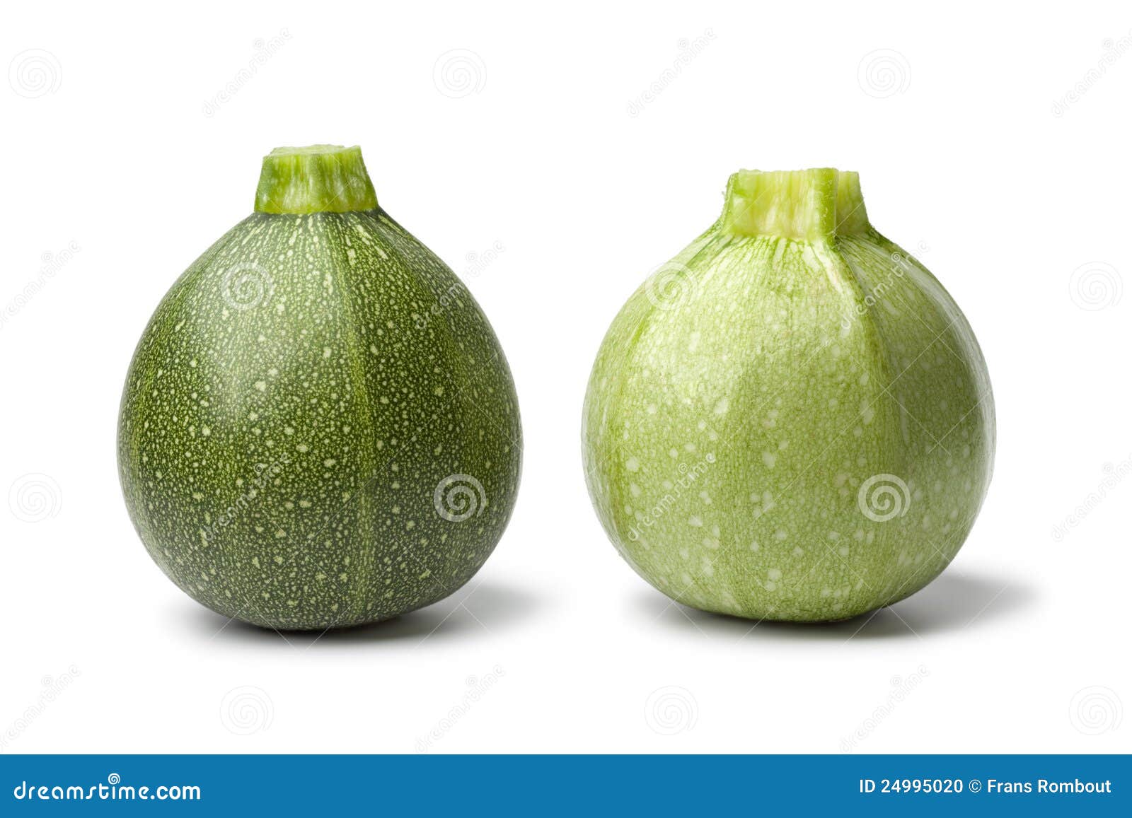 Courgette Ronde Verte Fraîche Photo stock - Image of studio, blanc ...