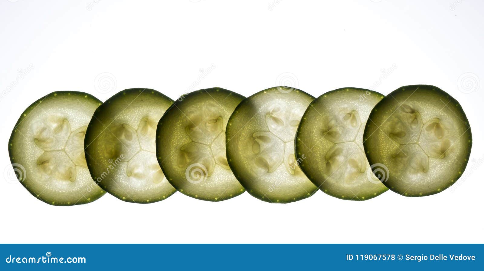 Courgette slices stock photo. Image of freshness, healthy - 119067578