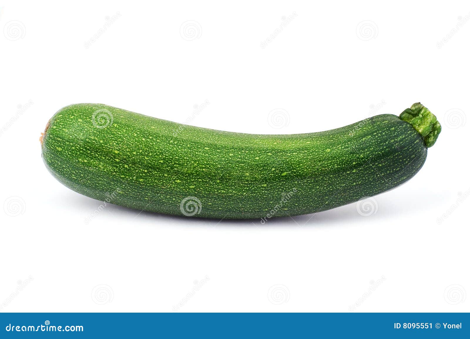 Courgette verte de courge image stock. Image du couleur - 8095551
