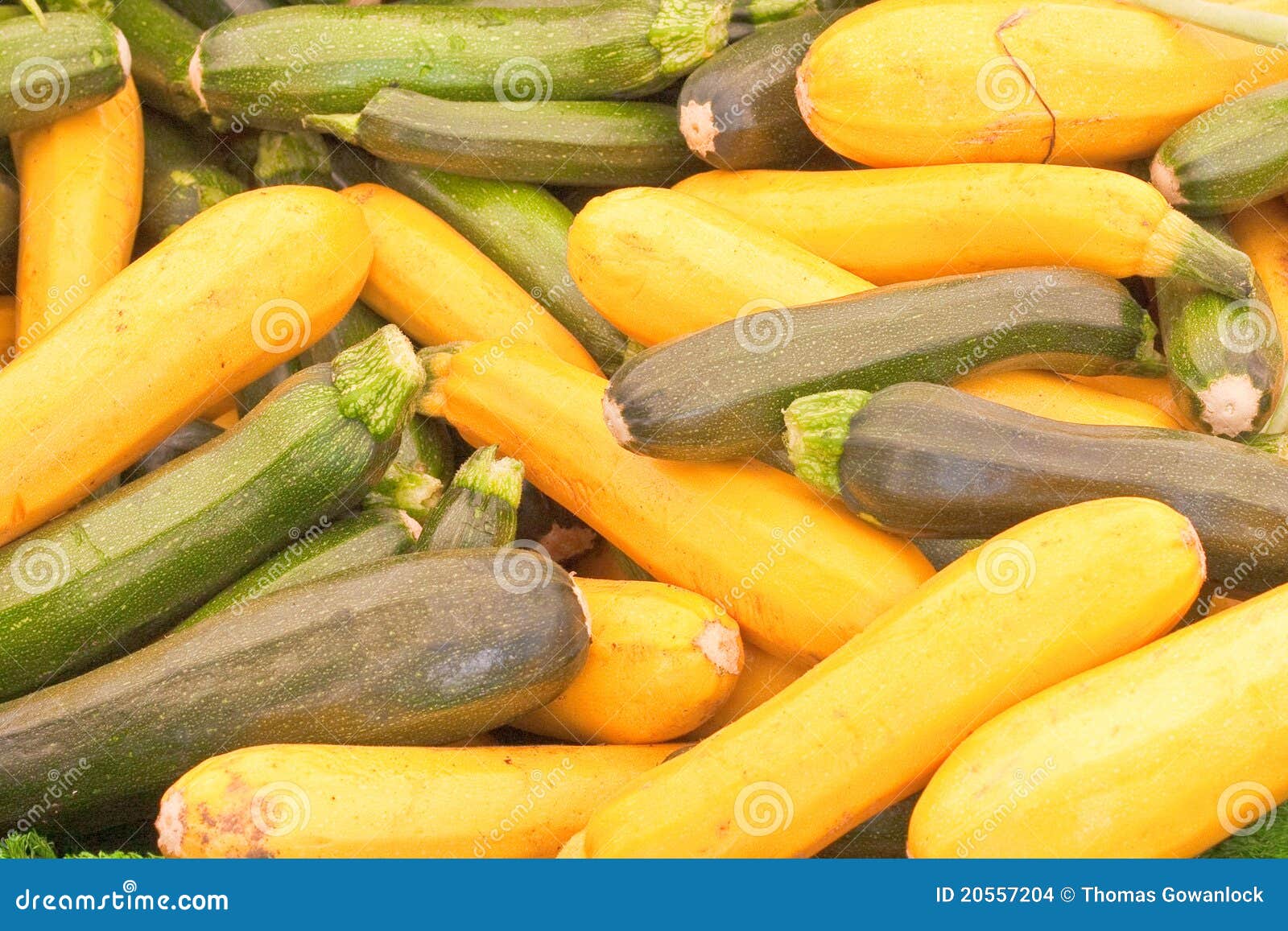 Courgettes stock photo. Image of fresh, fruit, green - 20557204