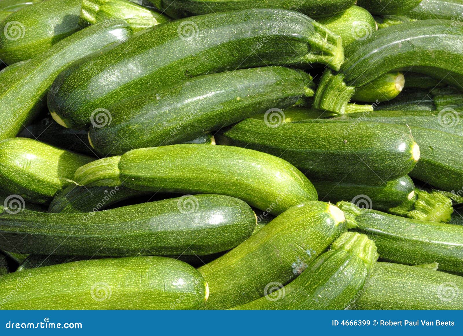 Courgettes stock image. Image of stack, group, organic - 4666399