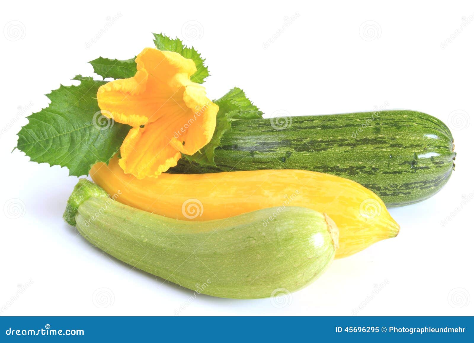 Courgettes stock image. Image of food, blossom, courgettes - 45696295