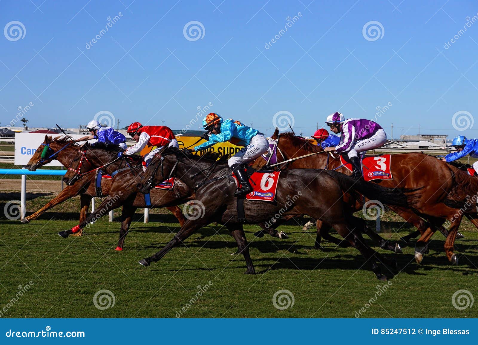 Course de cheval de pays photographie éditorial. Image du animal - 85247512