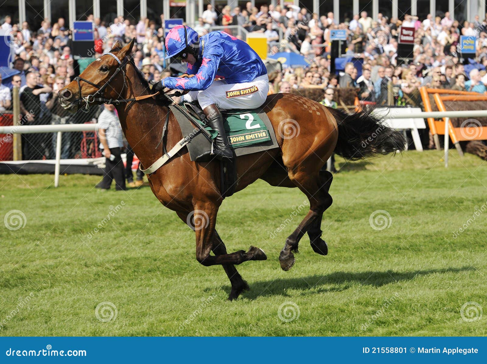 Course de chevaux photo éditorial. Image du nationale - 21558801