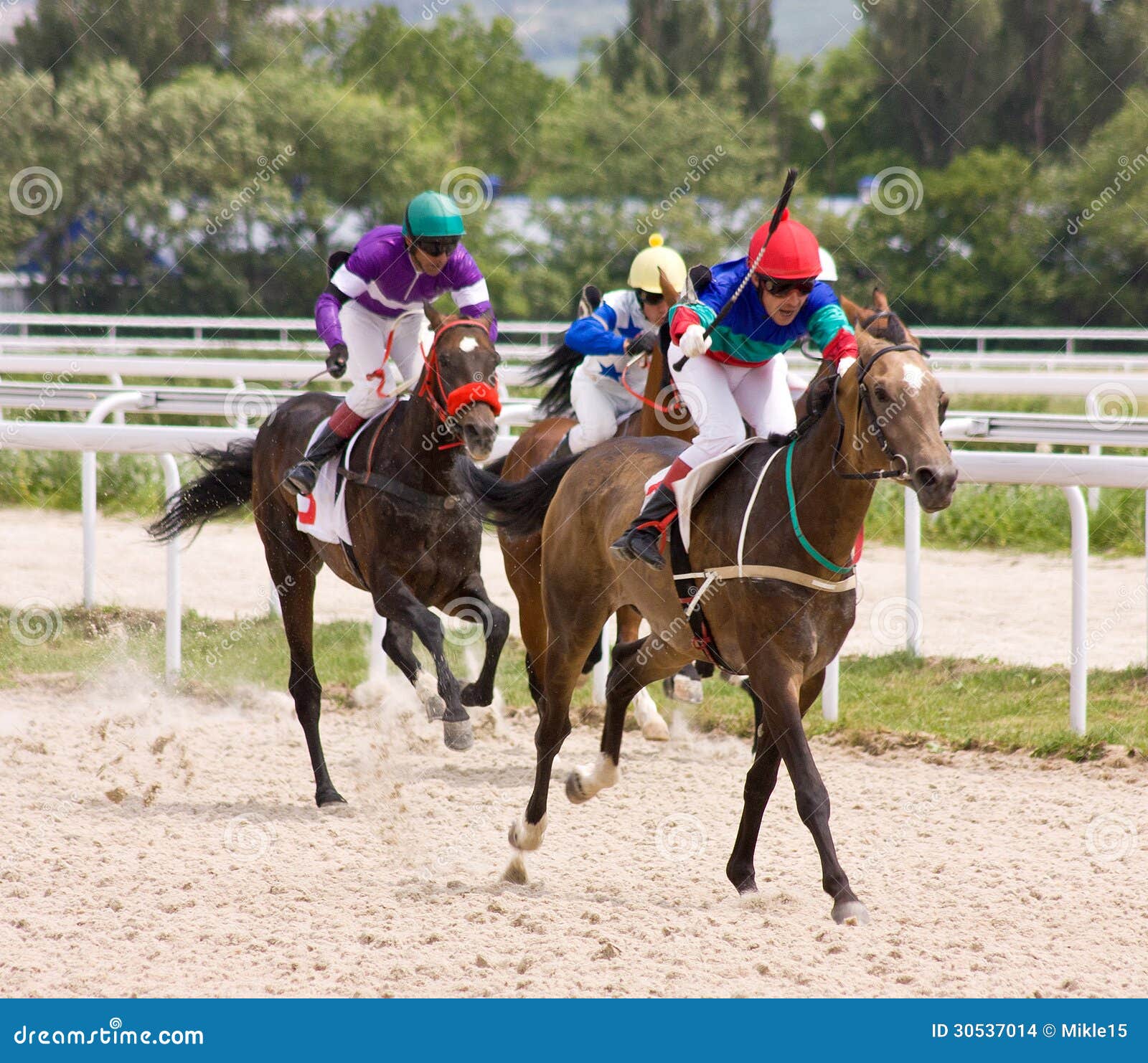Course de chevaux. photo stock. Image du cheval, caucase - 30537014
