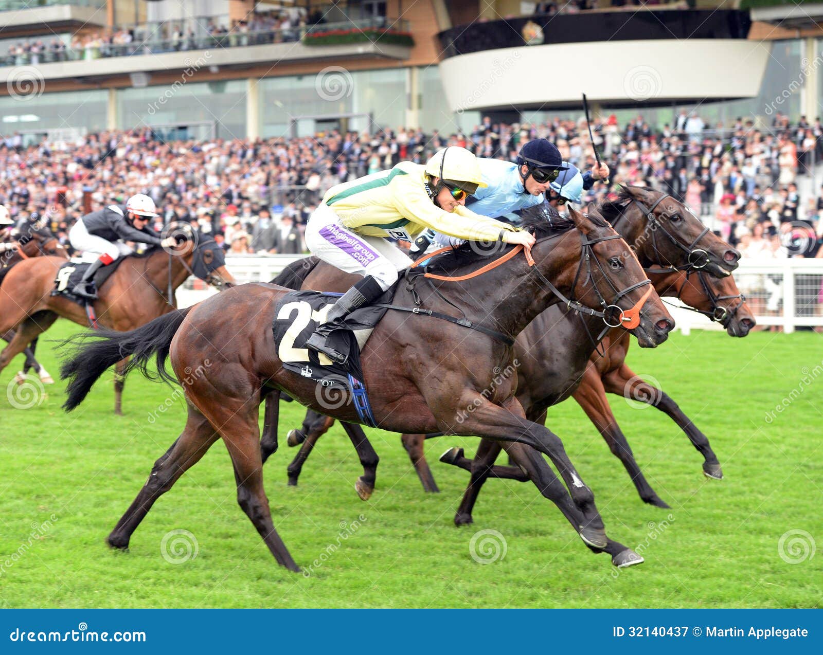 Course de chevaux photographie éditorial. Image du vitesse - 32140437