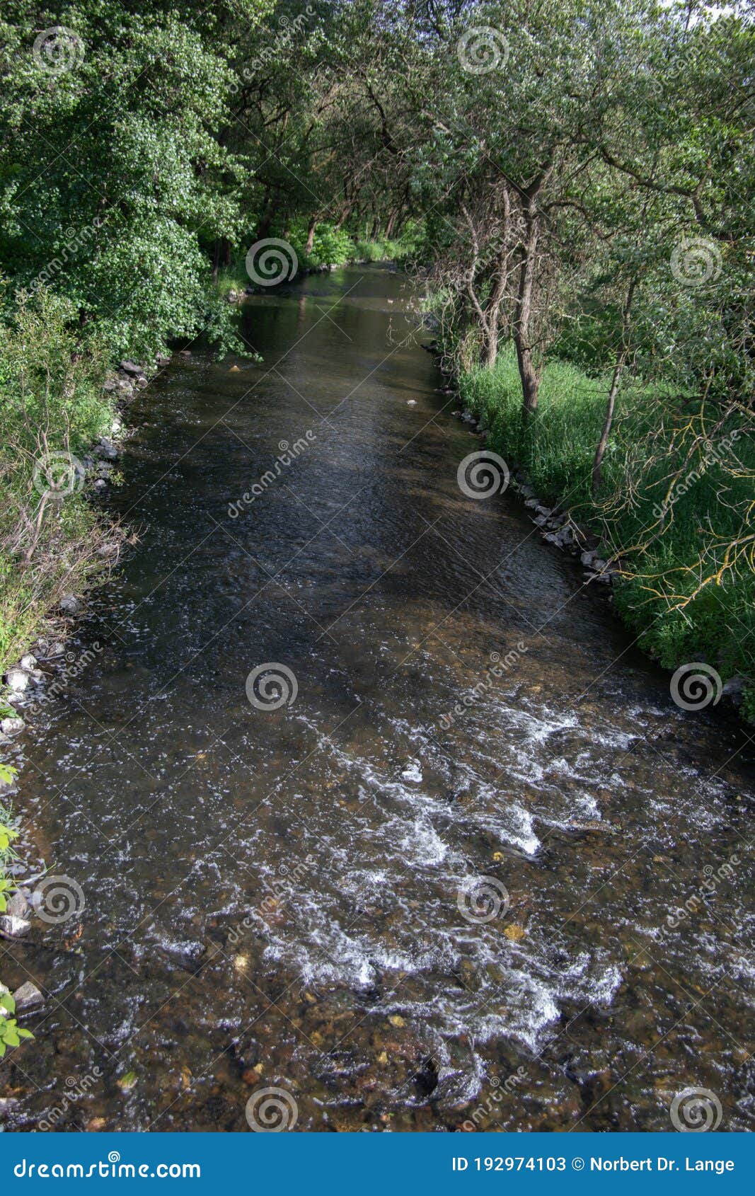 The course of the river stock image. Image of body, vegetation - 192974103