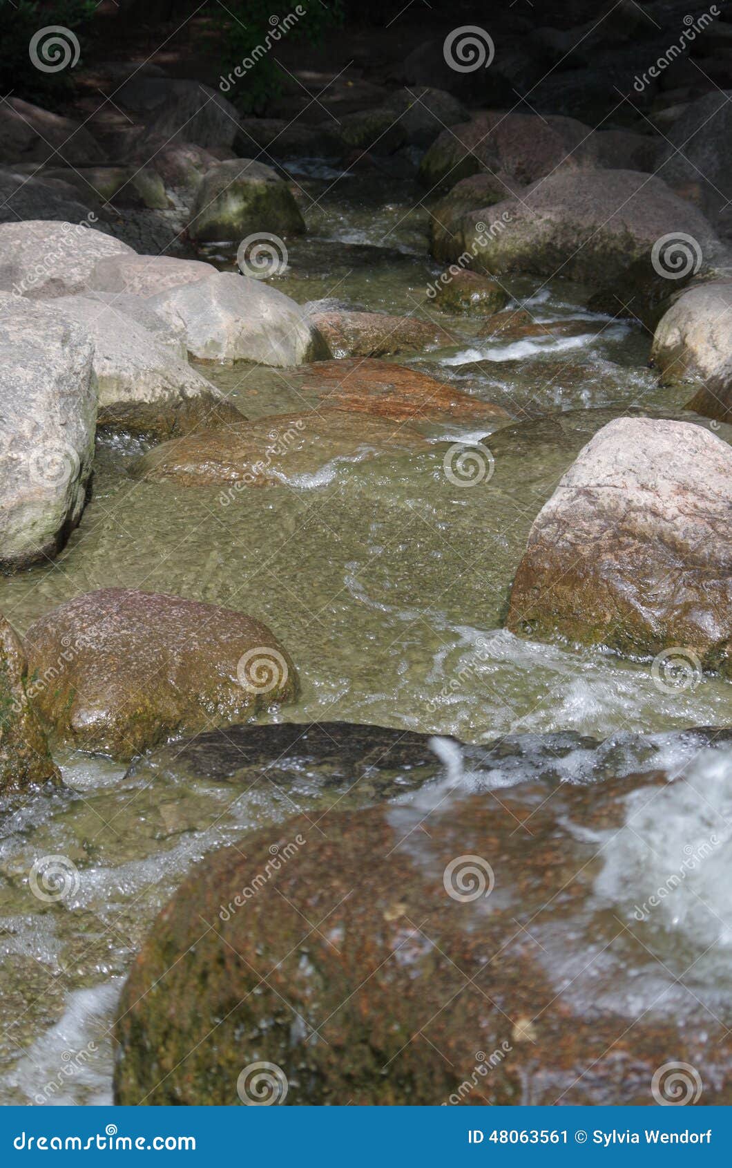 Course of a stream stock image. Image of scenics, brown - 48063561