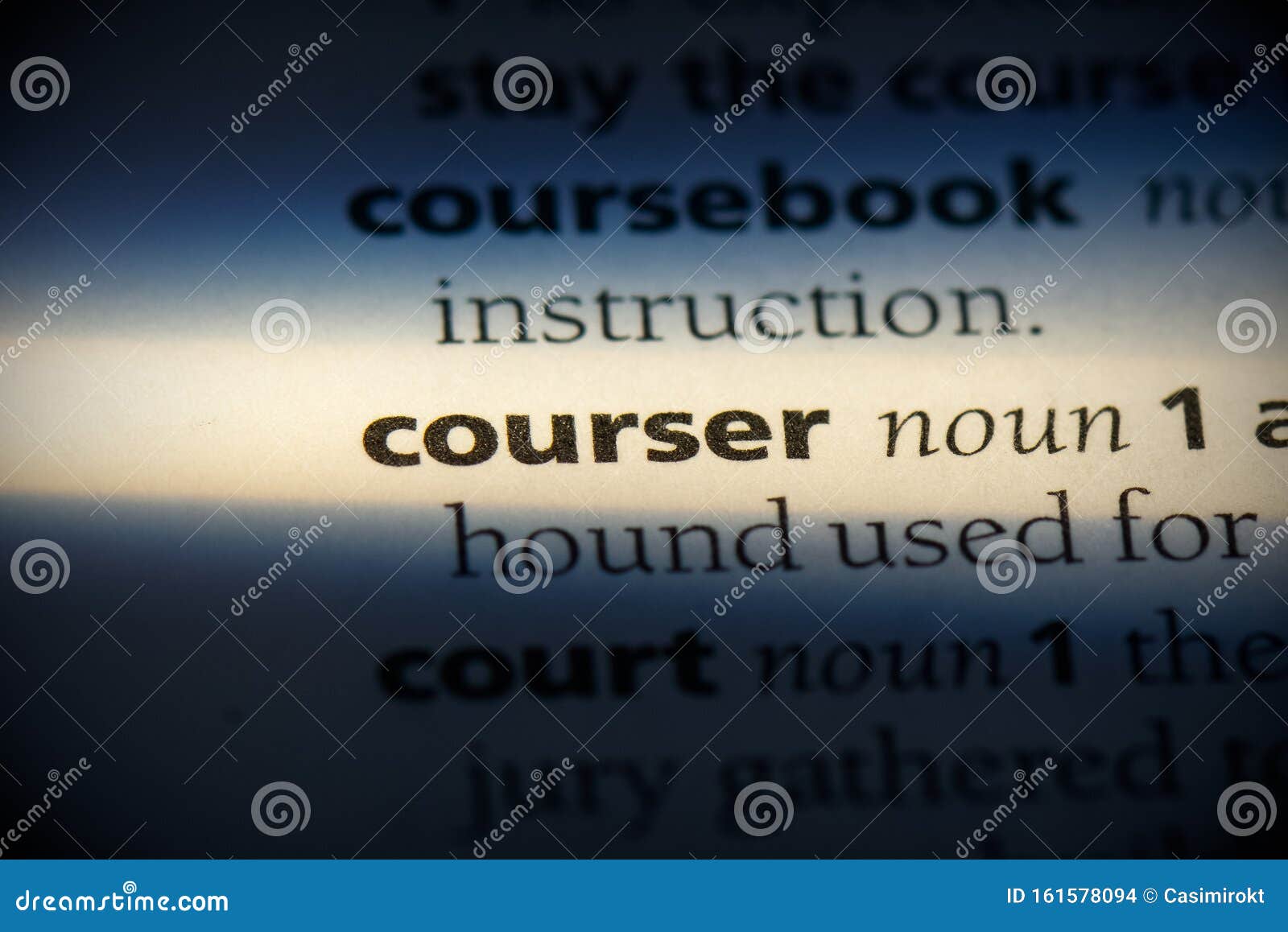 Courser stock photo. Image of isolated, highlight, info - 161578094