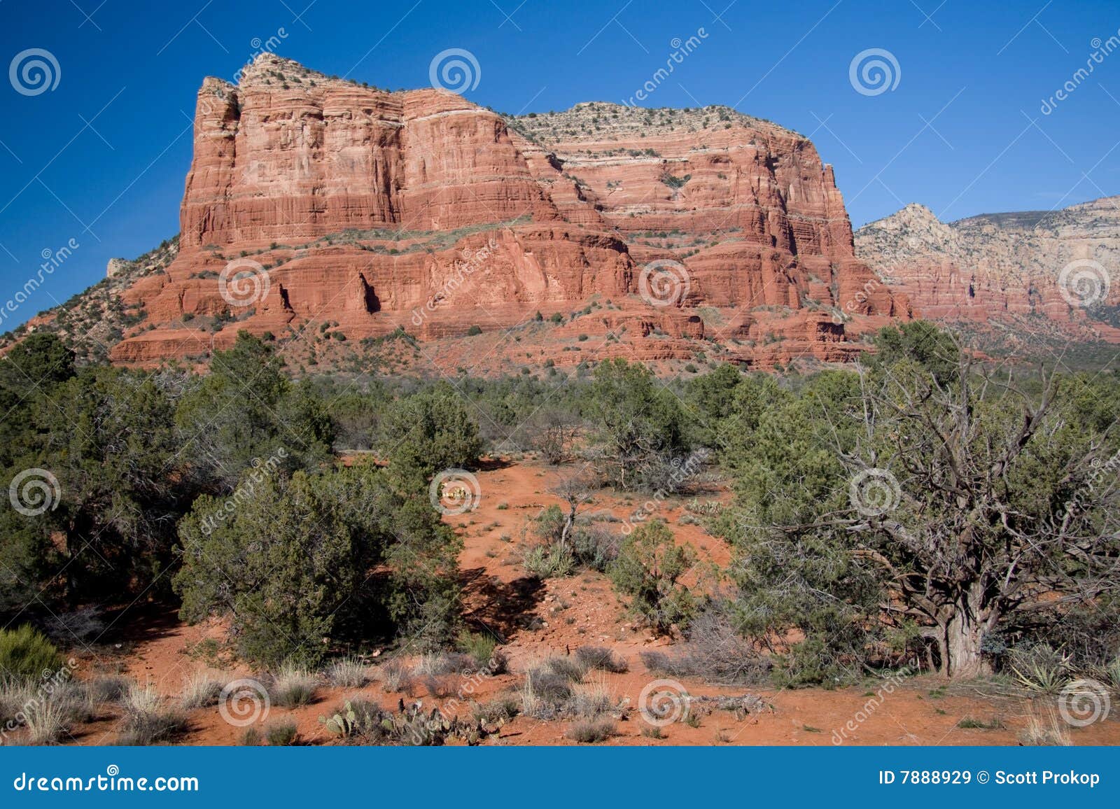 Courthouse Butte stock image. Image of southwest, rock - 7888929
