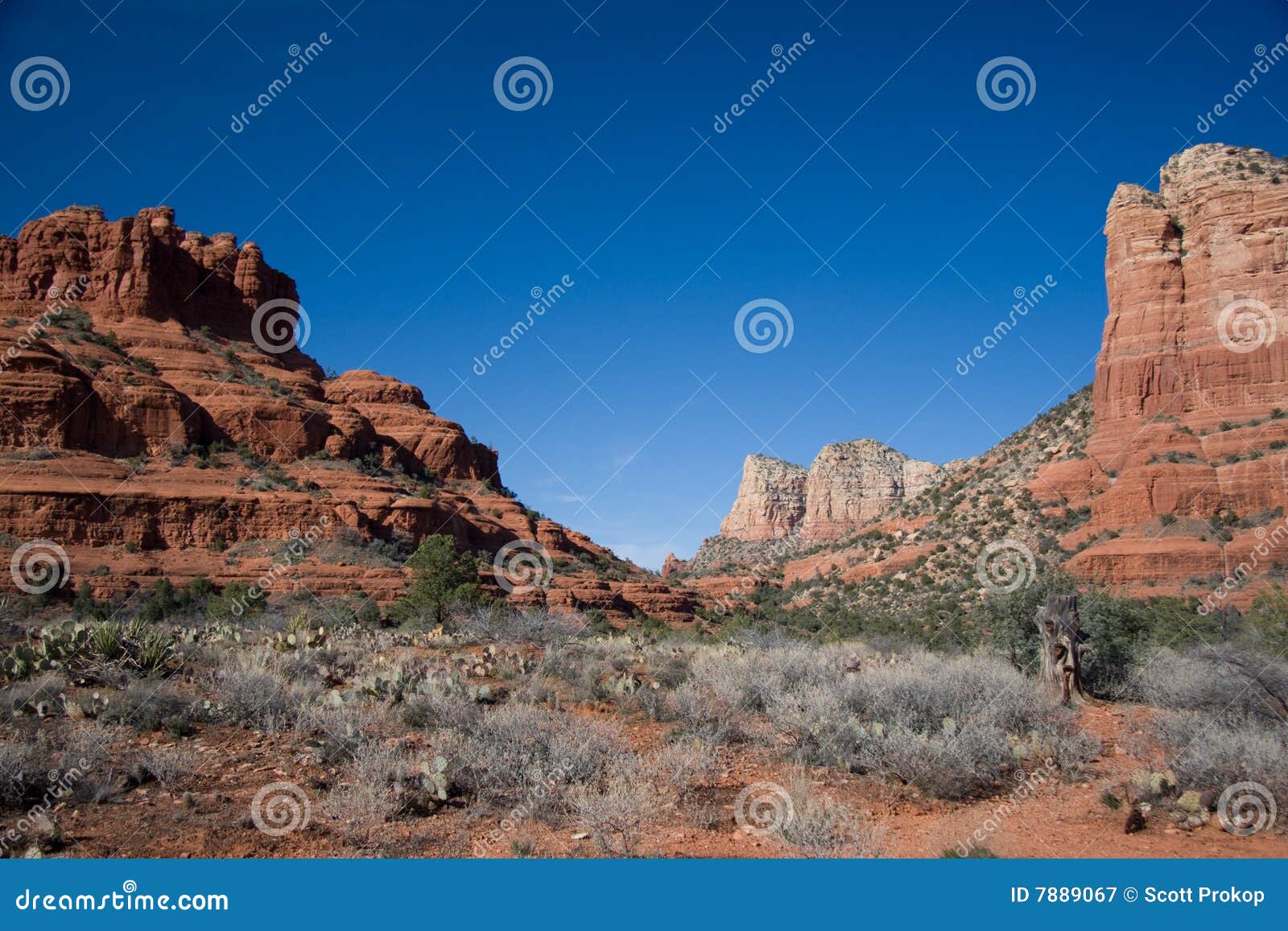 Courthouse Butte stock image. Image of desert, cliff, rock - 7889067