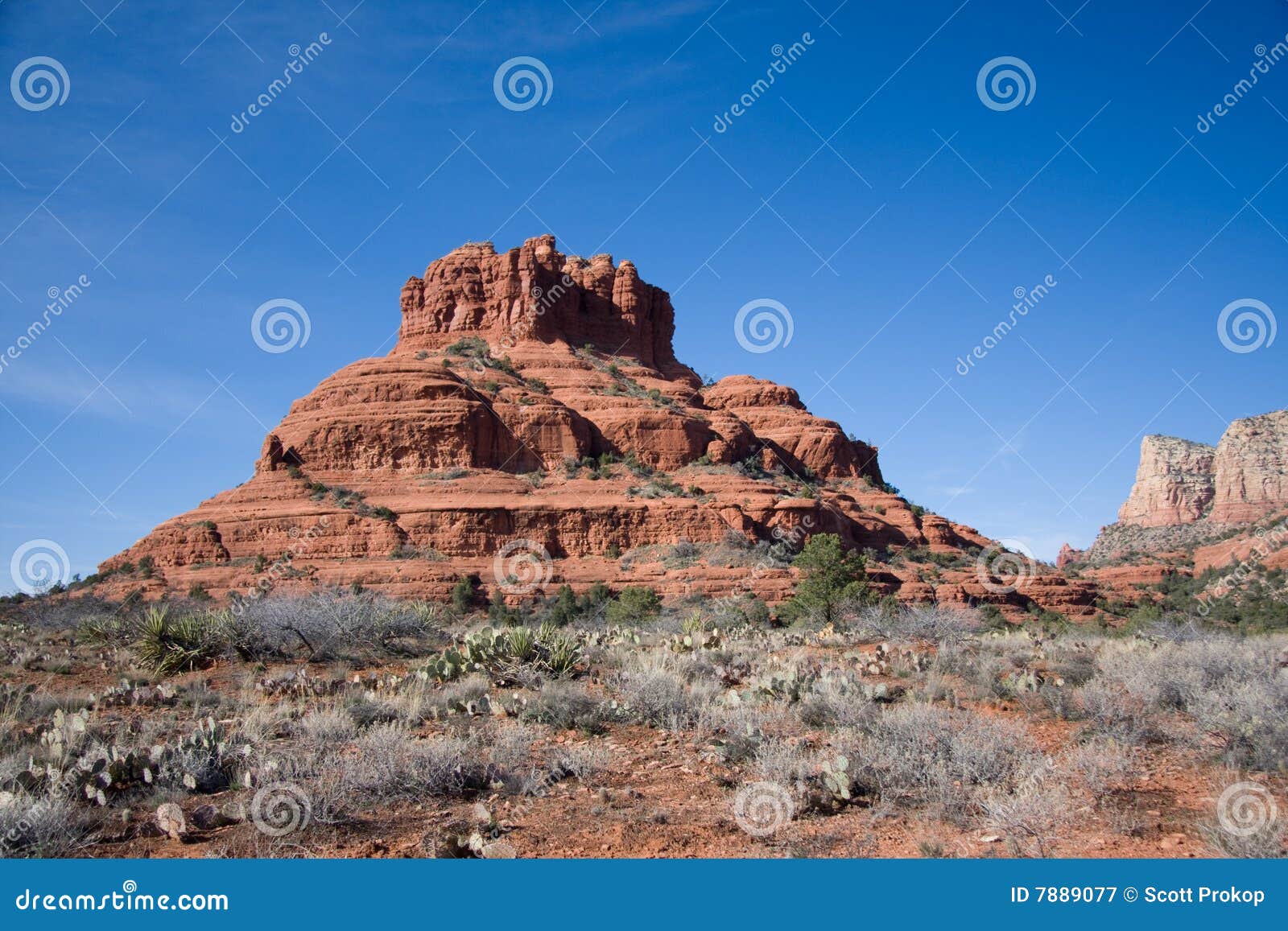 Courthouse Butte stock image. Image of plant, formation - 7889077
