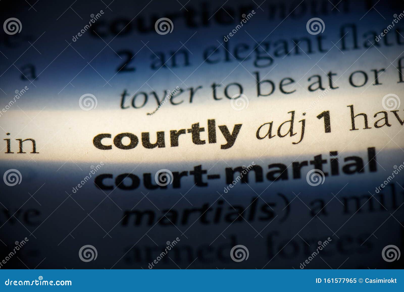 Courtly stock image. Image of info, learn, printed, isolated - 161577965