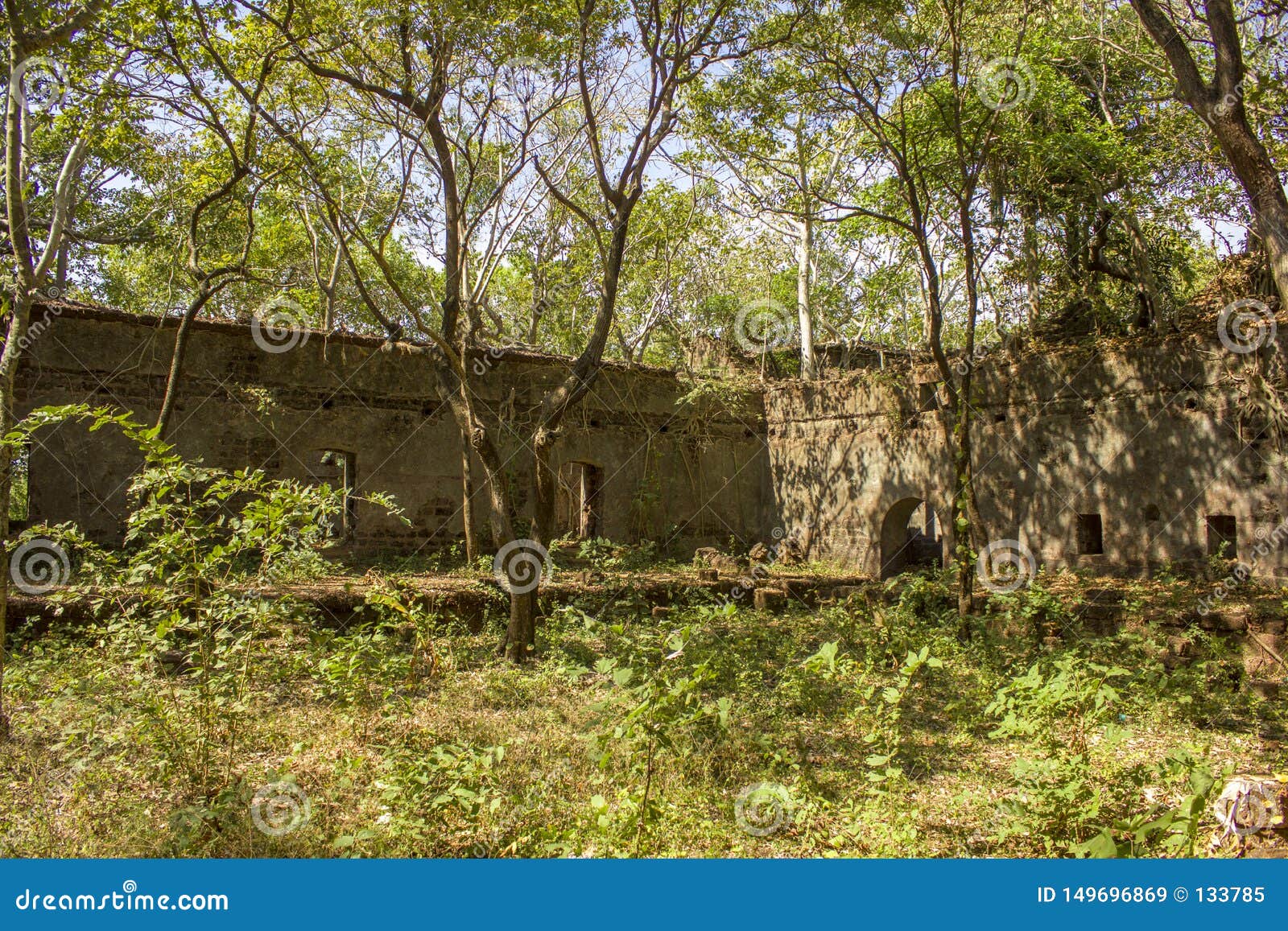 Courtyard of an Ancient Abandoned Fort Overgrown with Green Jungle ...