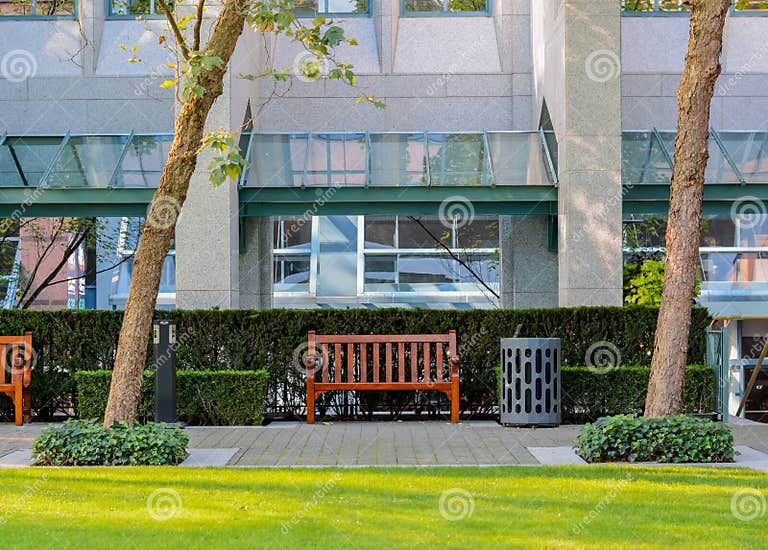 Courtyard Bench stock photo. Image of grass, nature, courtyard - 81179642