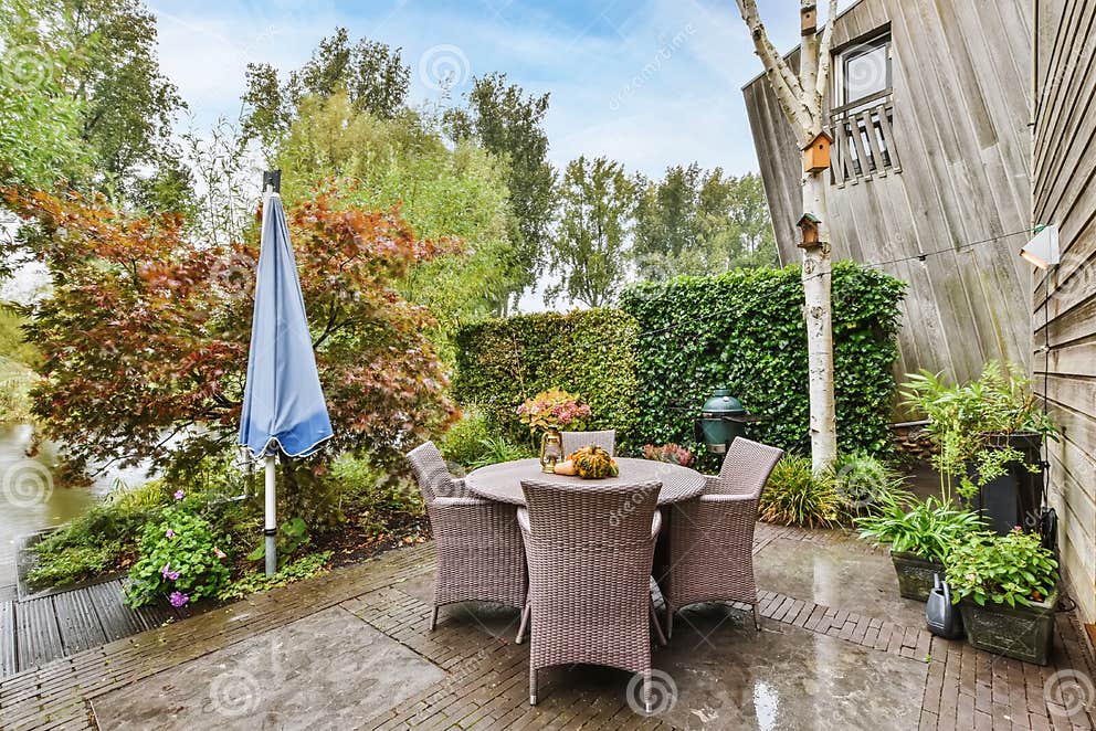 Courtyard with greenery stock image. Image of house - 236683713
