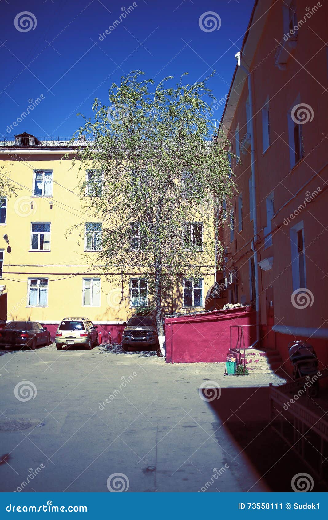 Courtyard of the Old House in the Spring Sun Stock Image - Image of ...
