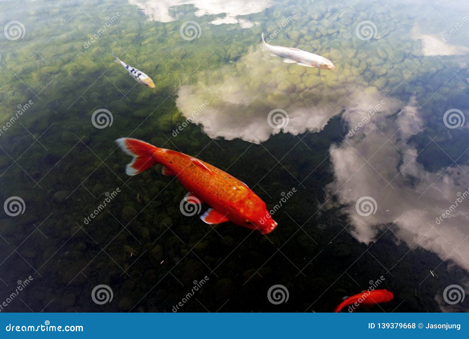 Courtyard with Pond and Fish in Suzhou Museum Stock Photo - Image of ...