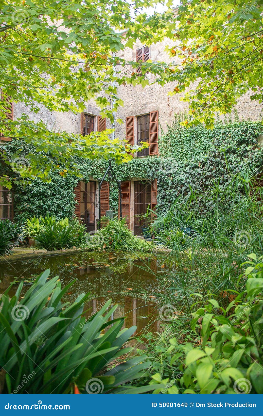 Courtyard with Pond and Trees. Stock Image - Image of green, garden ...