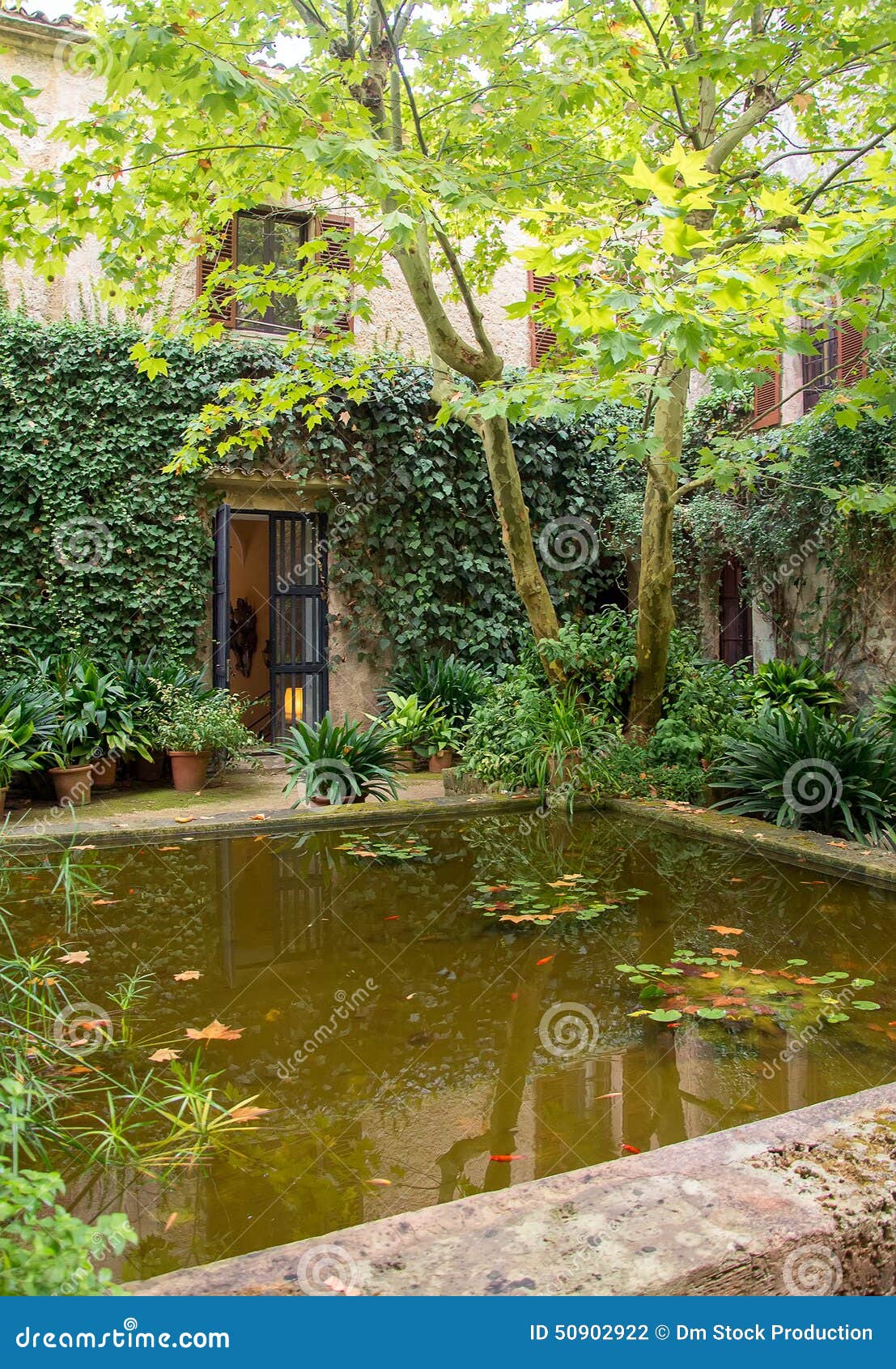 Courtyard with pond. stock photo. Image of nature, courtyard - 50902922